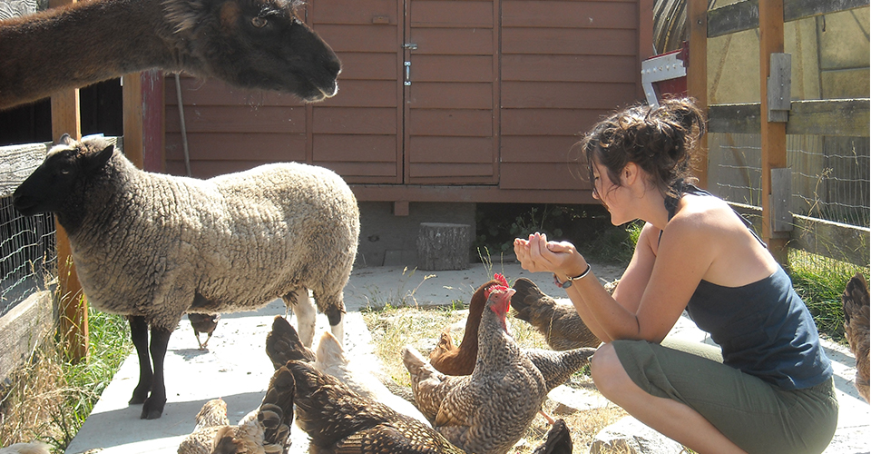 Once in a Blue Moon Farm | Orcas Island Activities | Farm Tours